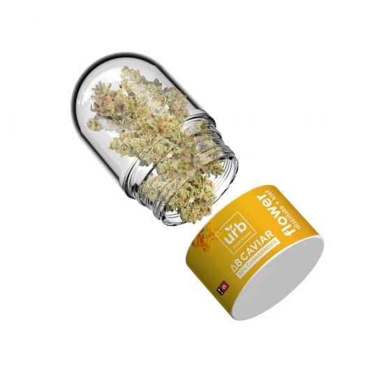 Urb Delta 8 Caviar Flower | 7g | CBD Savage